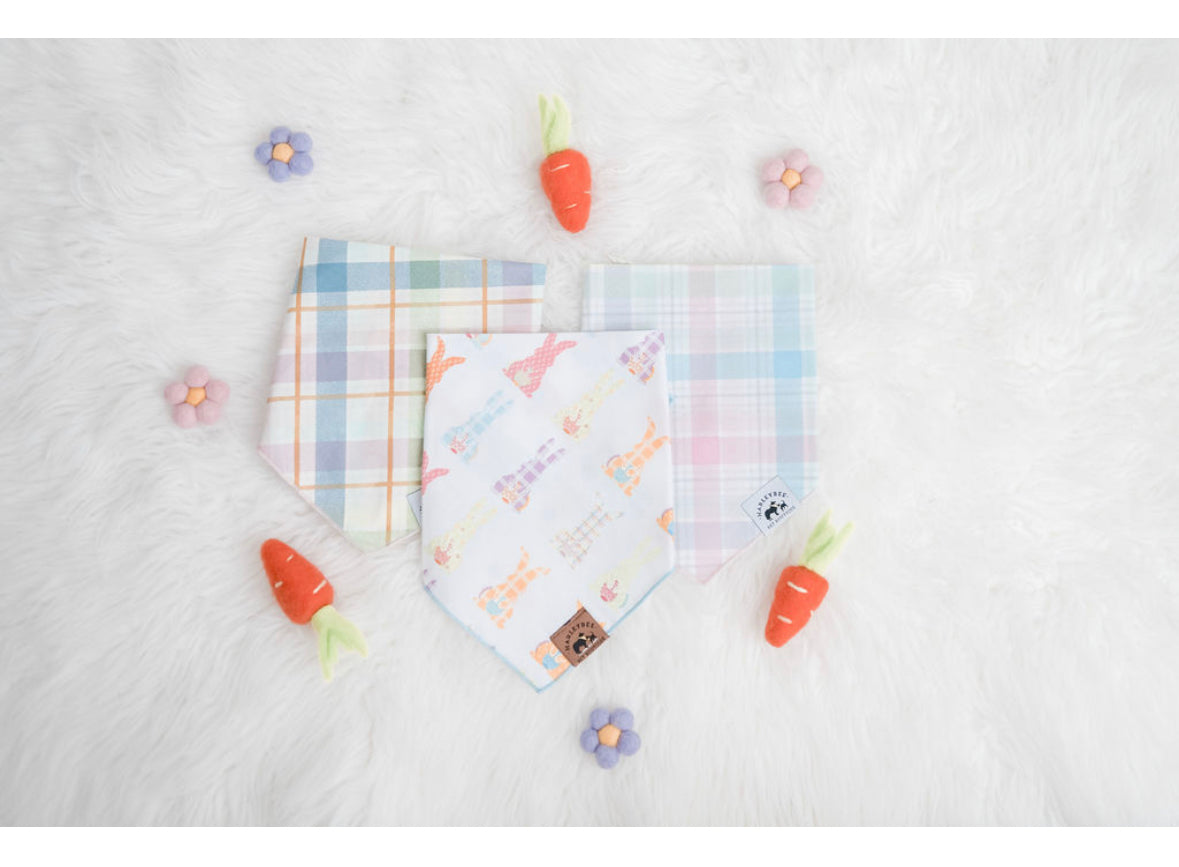 Pets Style! – HarleyBee Pet Boutique