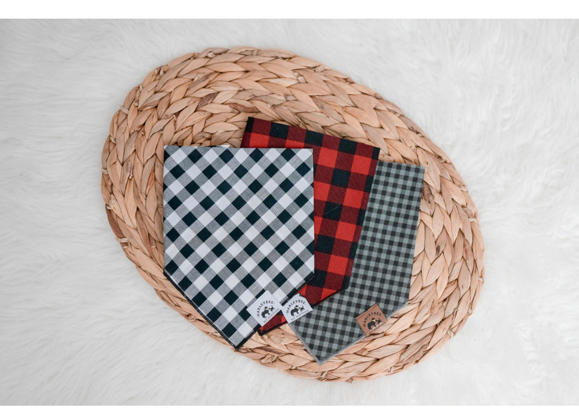 Harleybee Pet Boutique – HarleyBee Pet Boutique