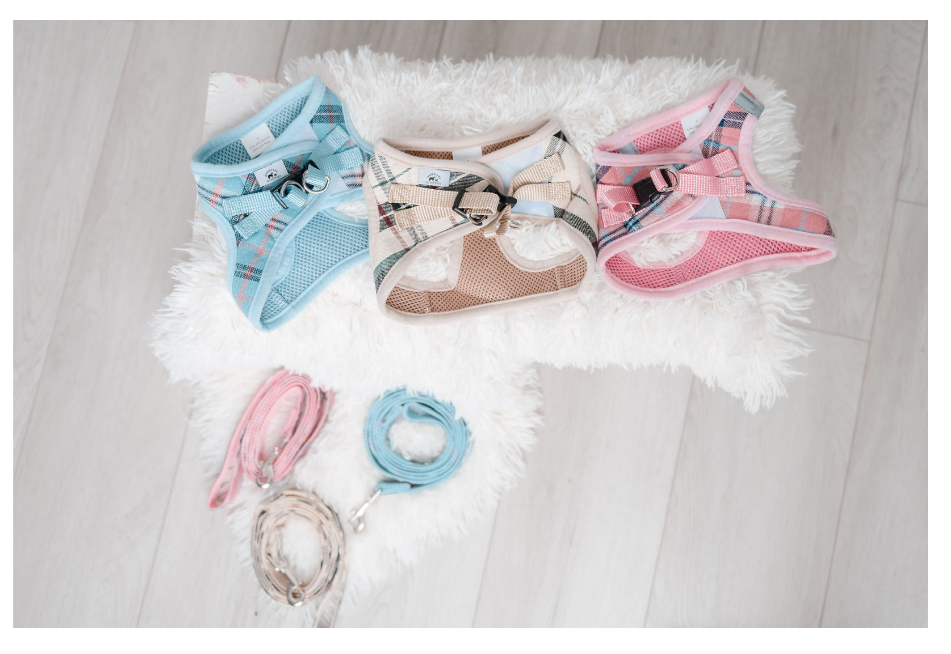 Strolling – HarleyBee Pet Boutique