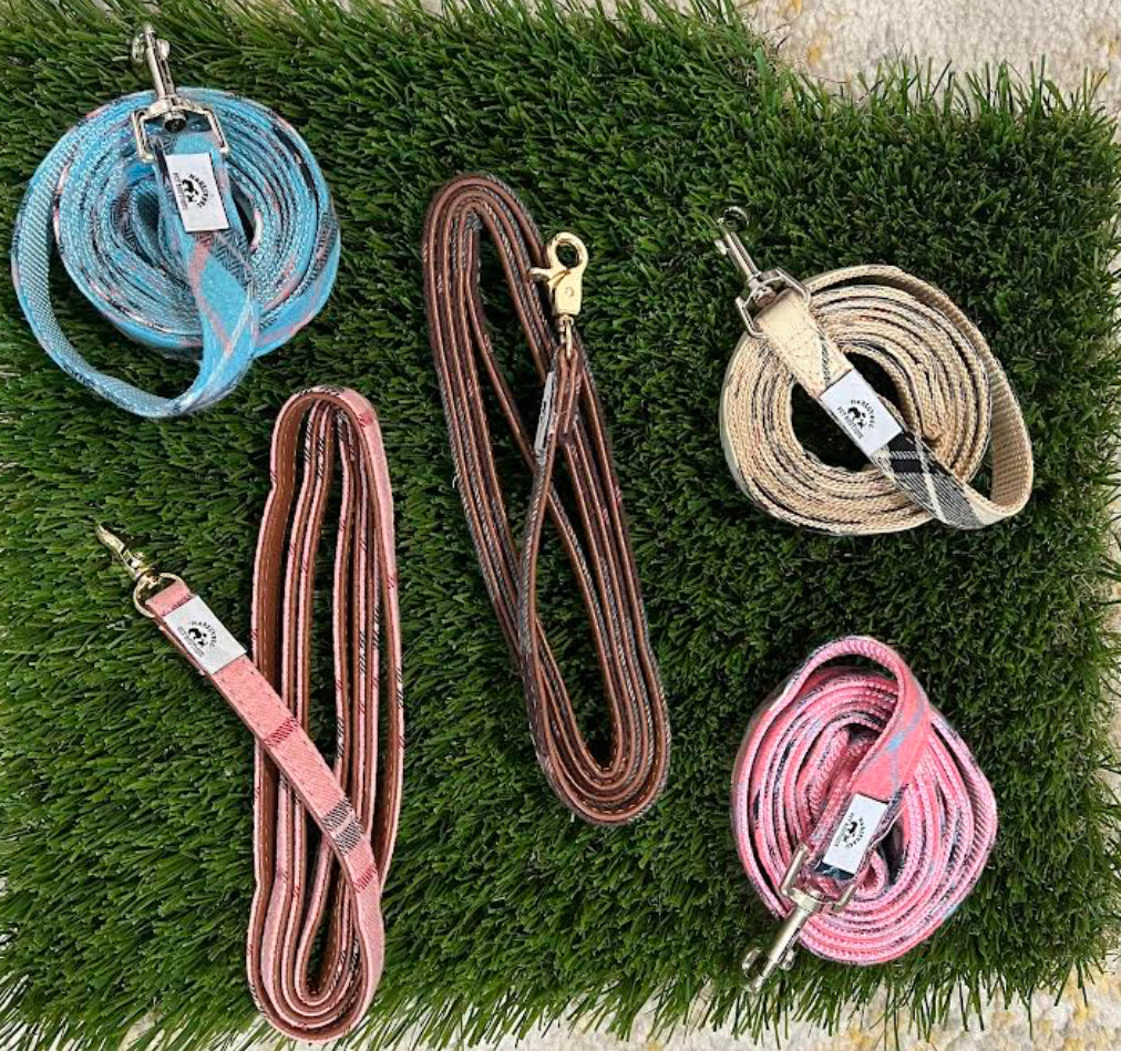 Leash – HarleyBee Pet Boutique