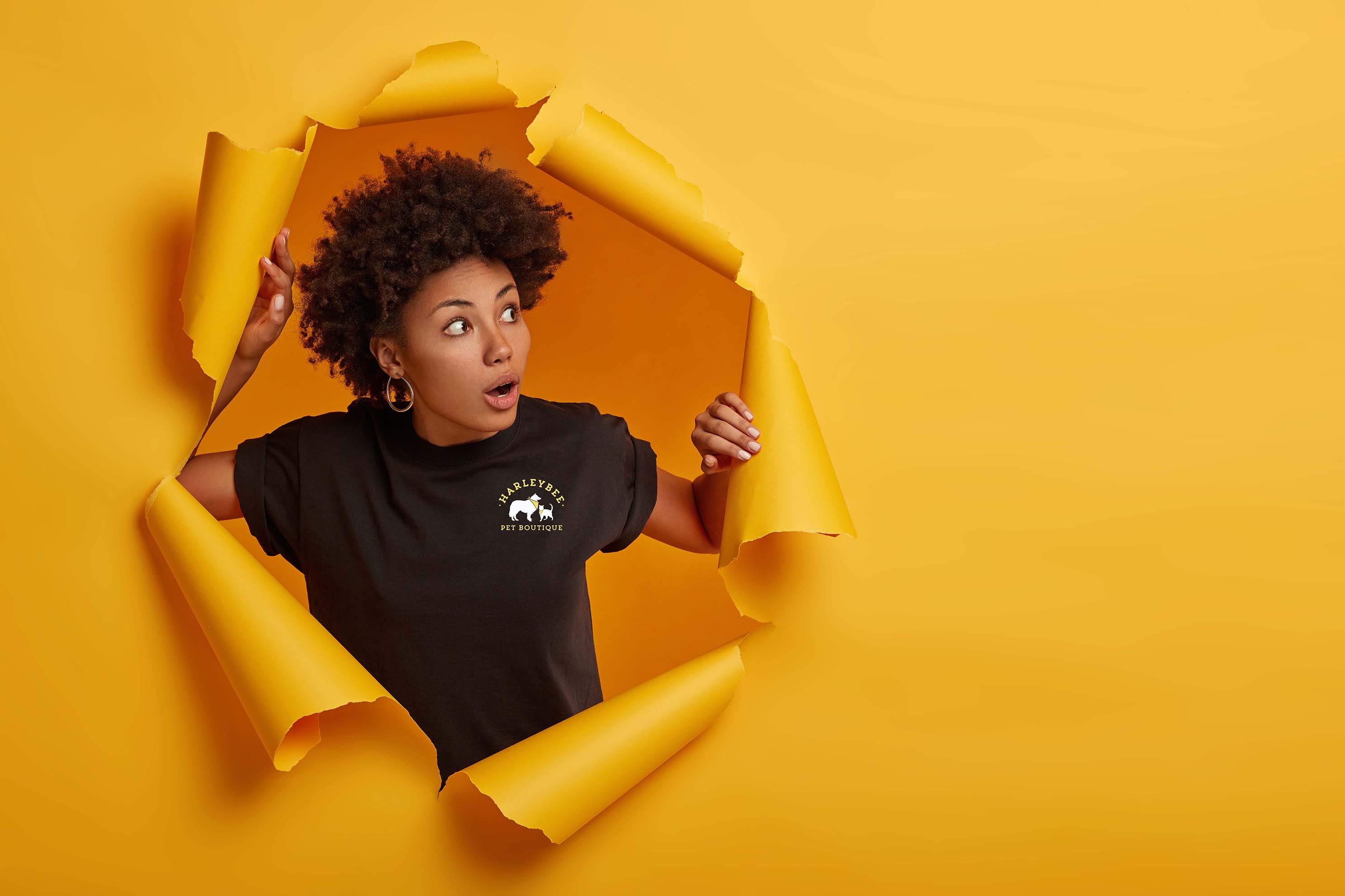 Shirts – HarleyBee Pet Boutique